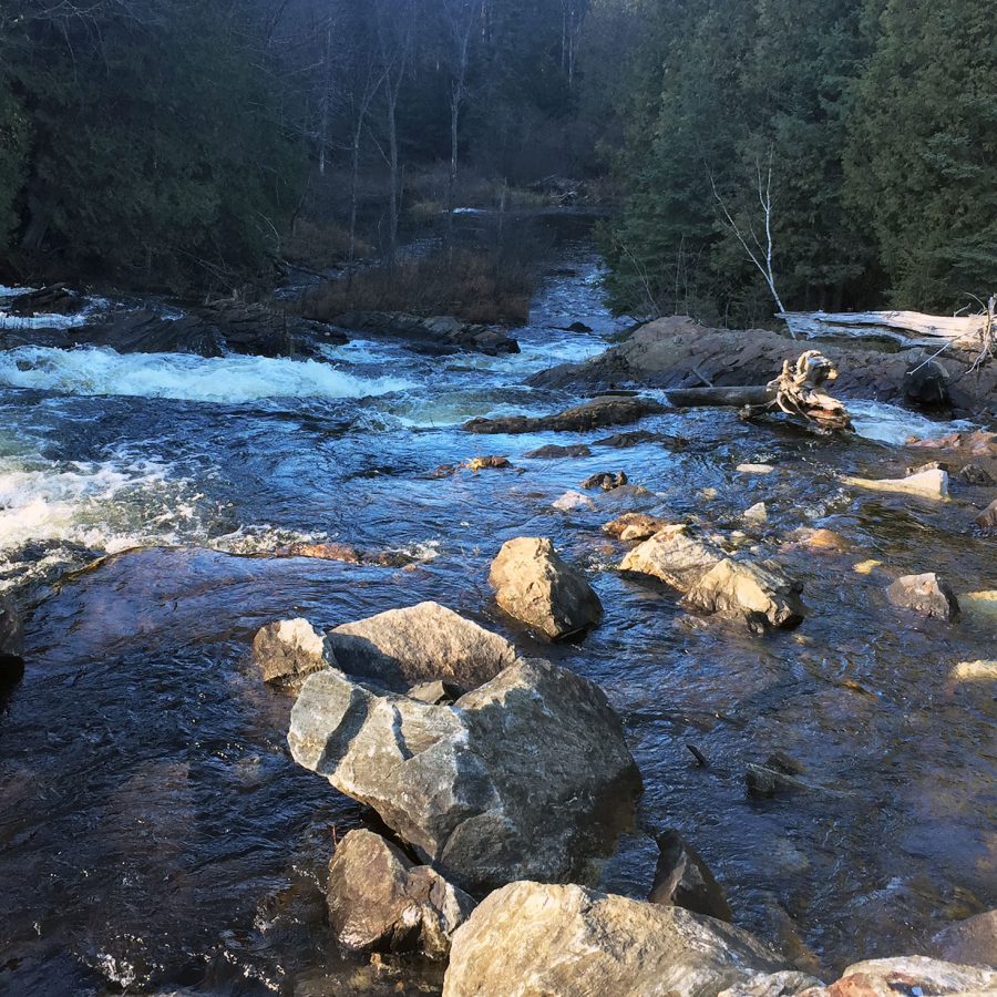 Portfolio Items – Lakeland Generation